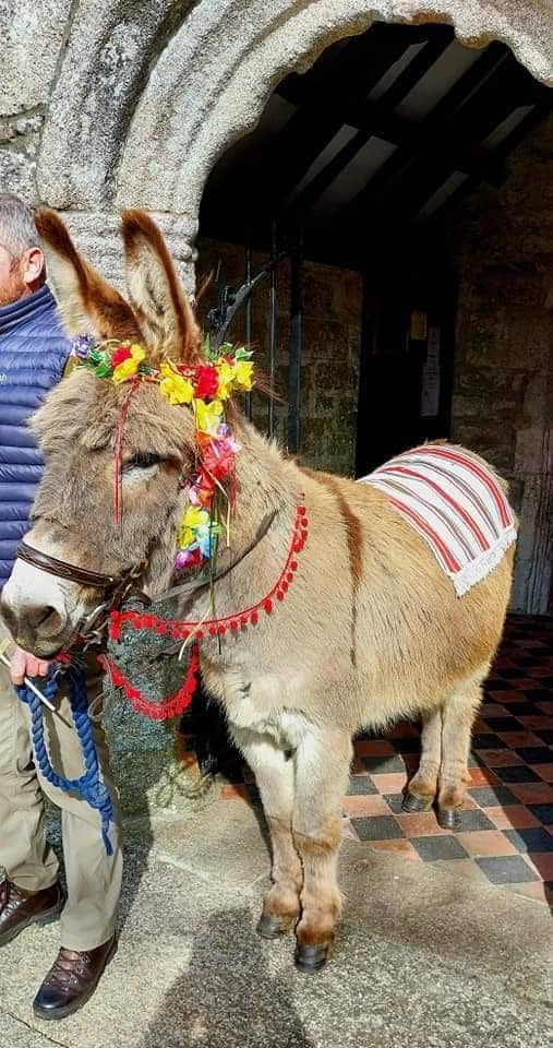 Palm Sunday Procession with the donkeys – St Budock Parish Church